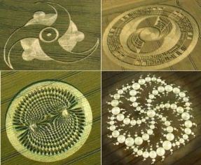 Obilí mezi nebem a zemí. Podívejte se na nejzajímavější kruhy v obilí - TOPZINE.cz