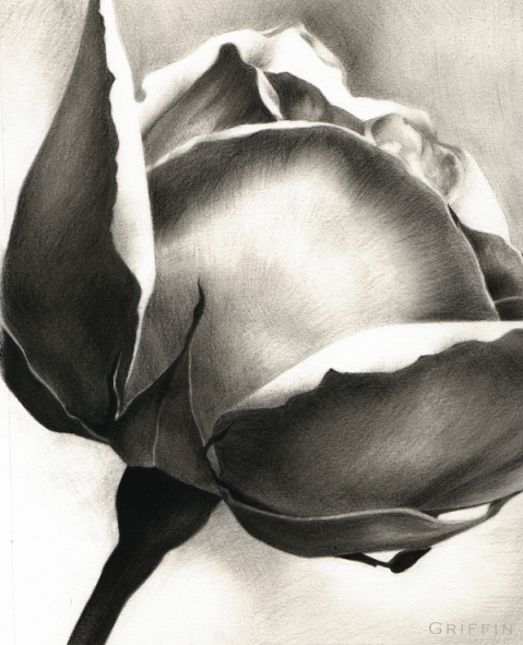 vousy Vlastenecký Osladit jednoduché obrázky tužkou kreslené obrázky ...